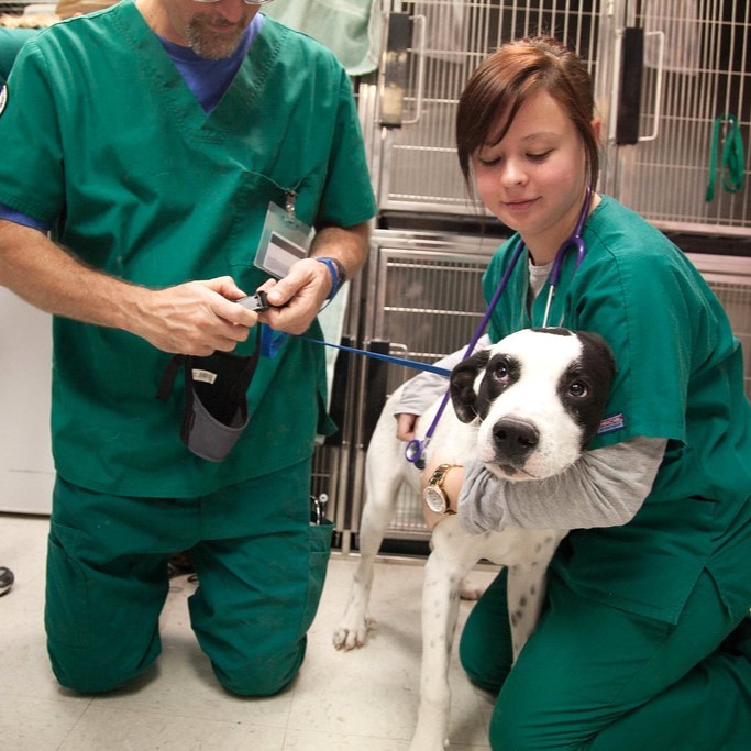 Hernando County Sheriff's Office