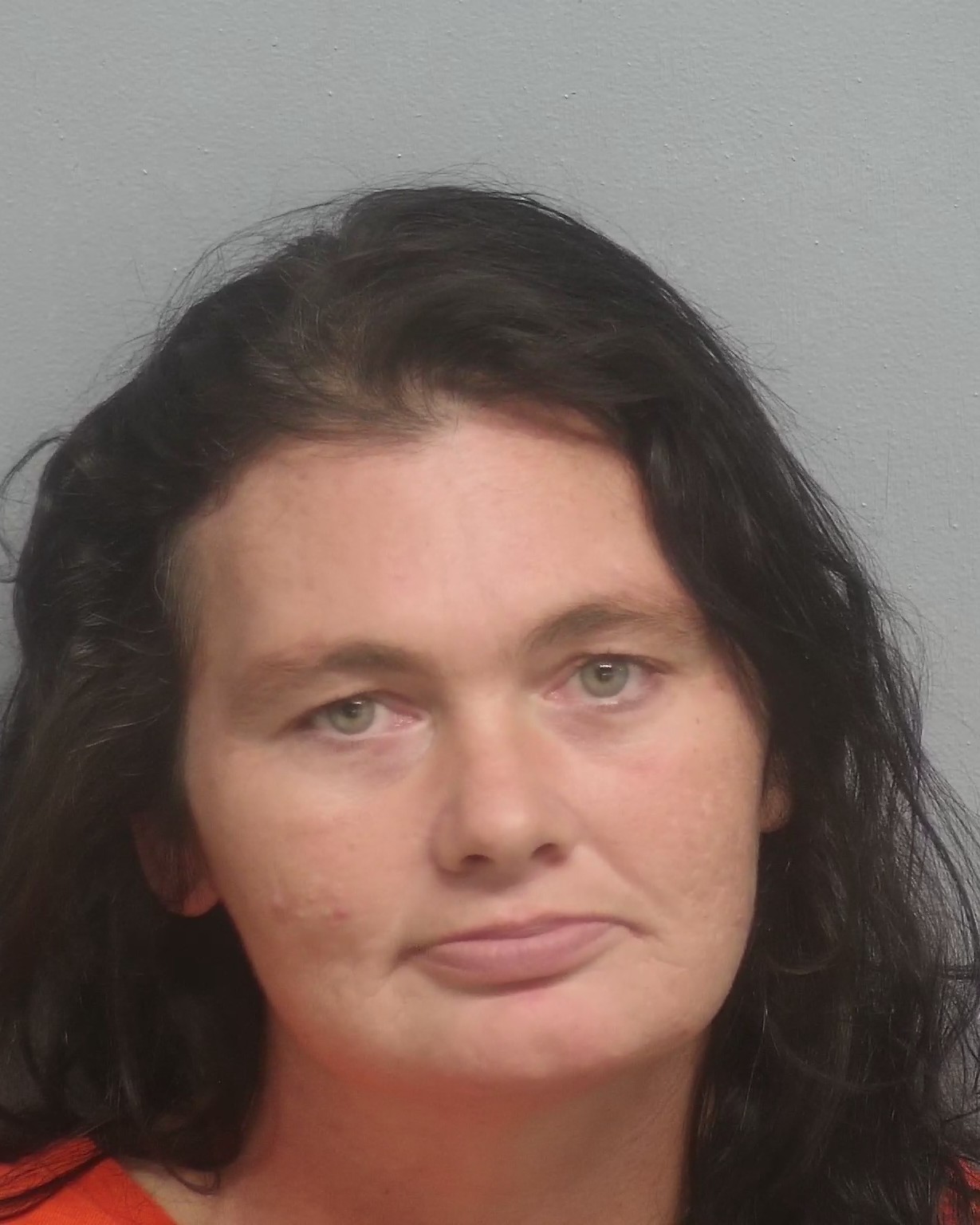 Hernando County Detention